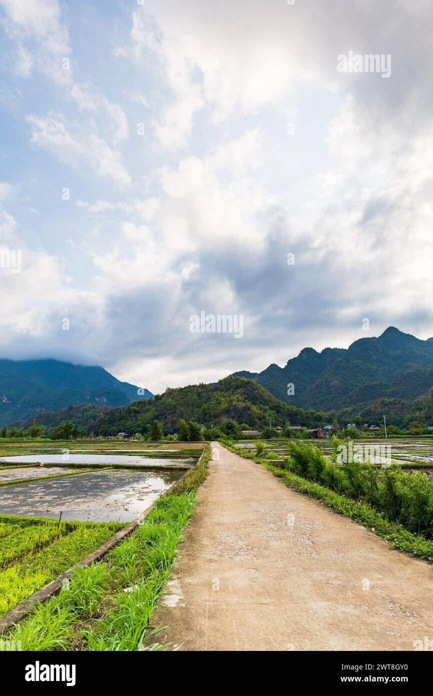 Mai Chau village landscape with rice paddy fields in North Vietnam. Mai ...