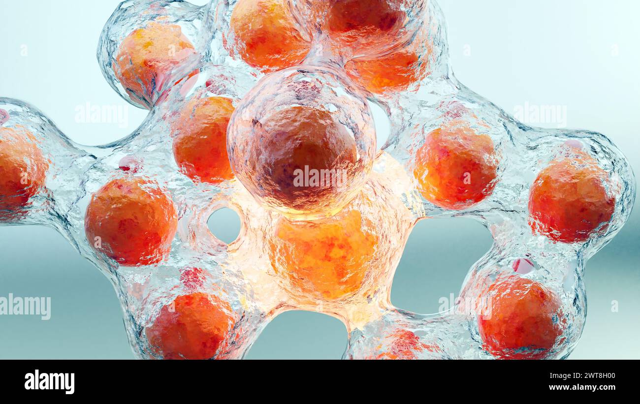 Weight loss. fat burn in human tissue, Adipose connective tissue, fat ...