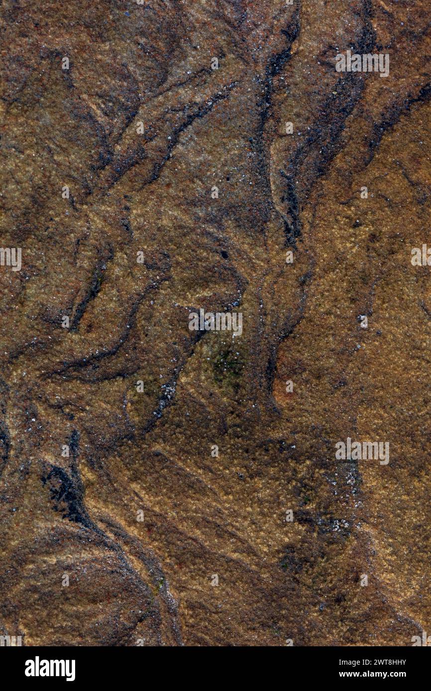 Beautiful image of coastal erosion forming patterns in sand coloured ...