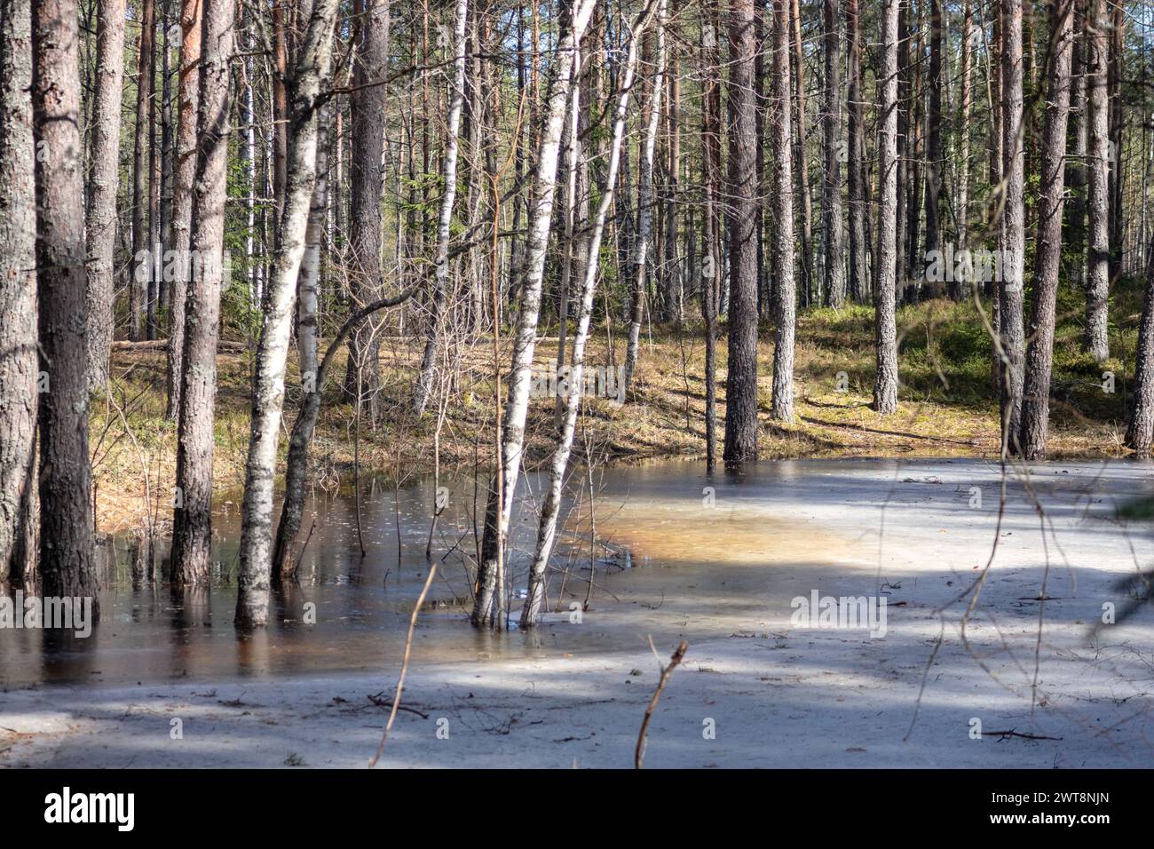 Water spot hi-res stock photography and images - Alamy