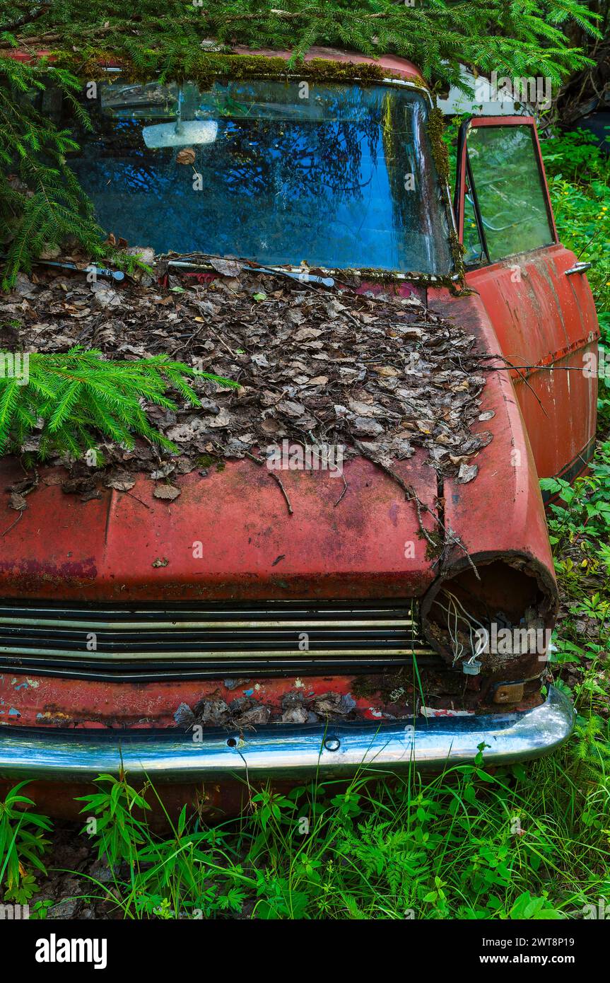 An old rusted out car sits in the dense woods of Sweden, showing signs of decay and neglect. The ...