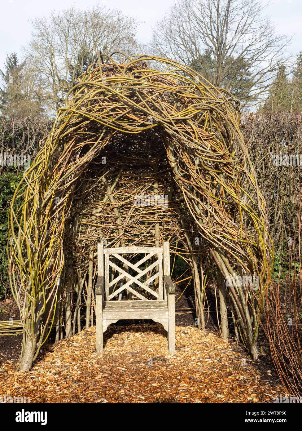 Woven dogwood hi-res stock photography and images - Alamy