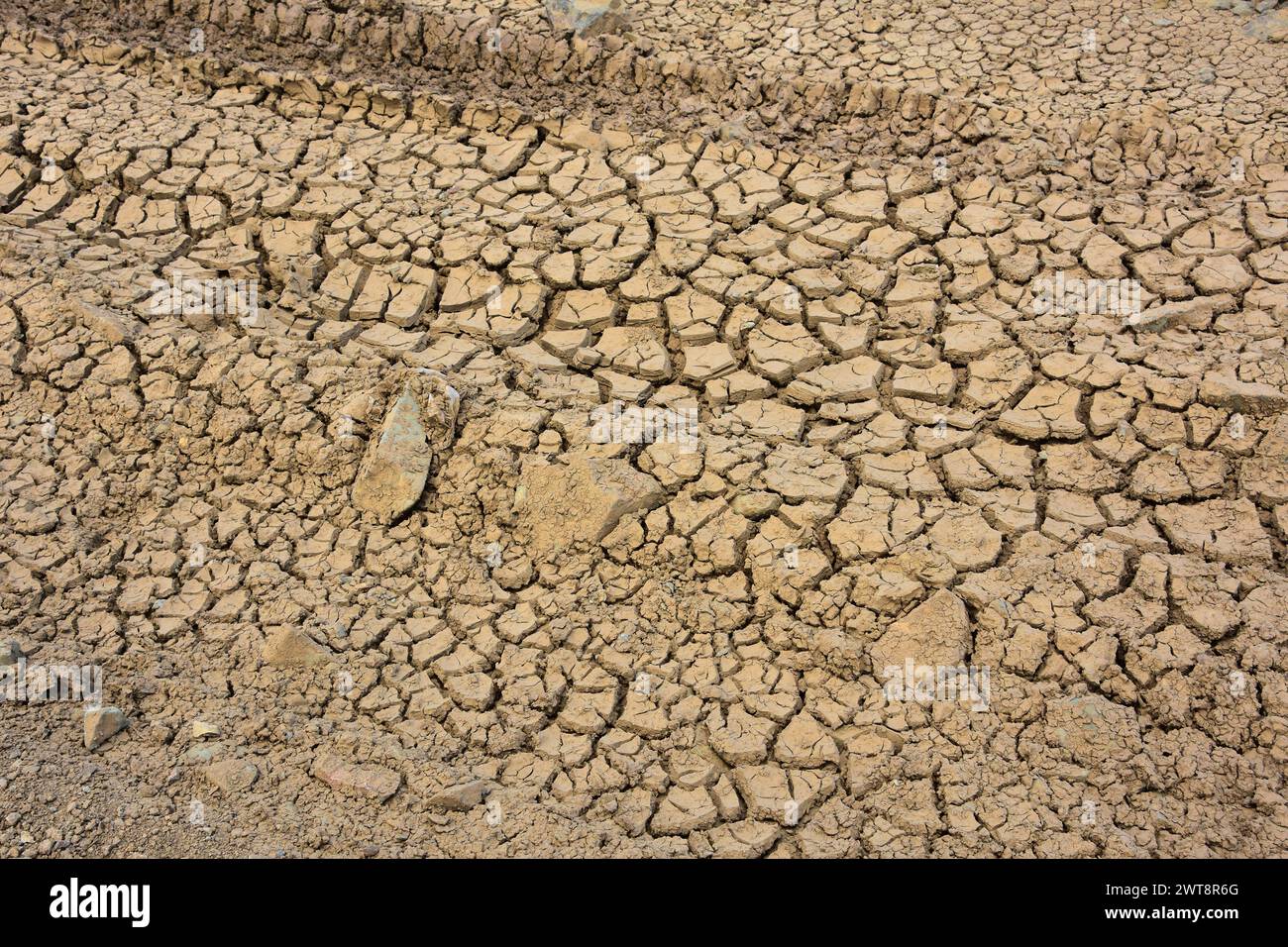 Dry mud texture dried riverbed hi-res stock photography and images - Alamy