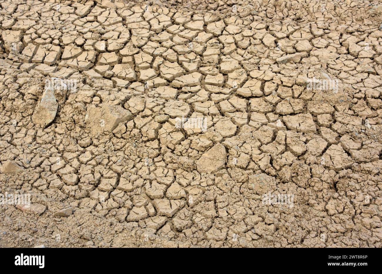 Dry climate with cracking and dried out mud flats Stock Photo - Alamy