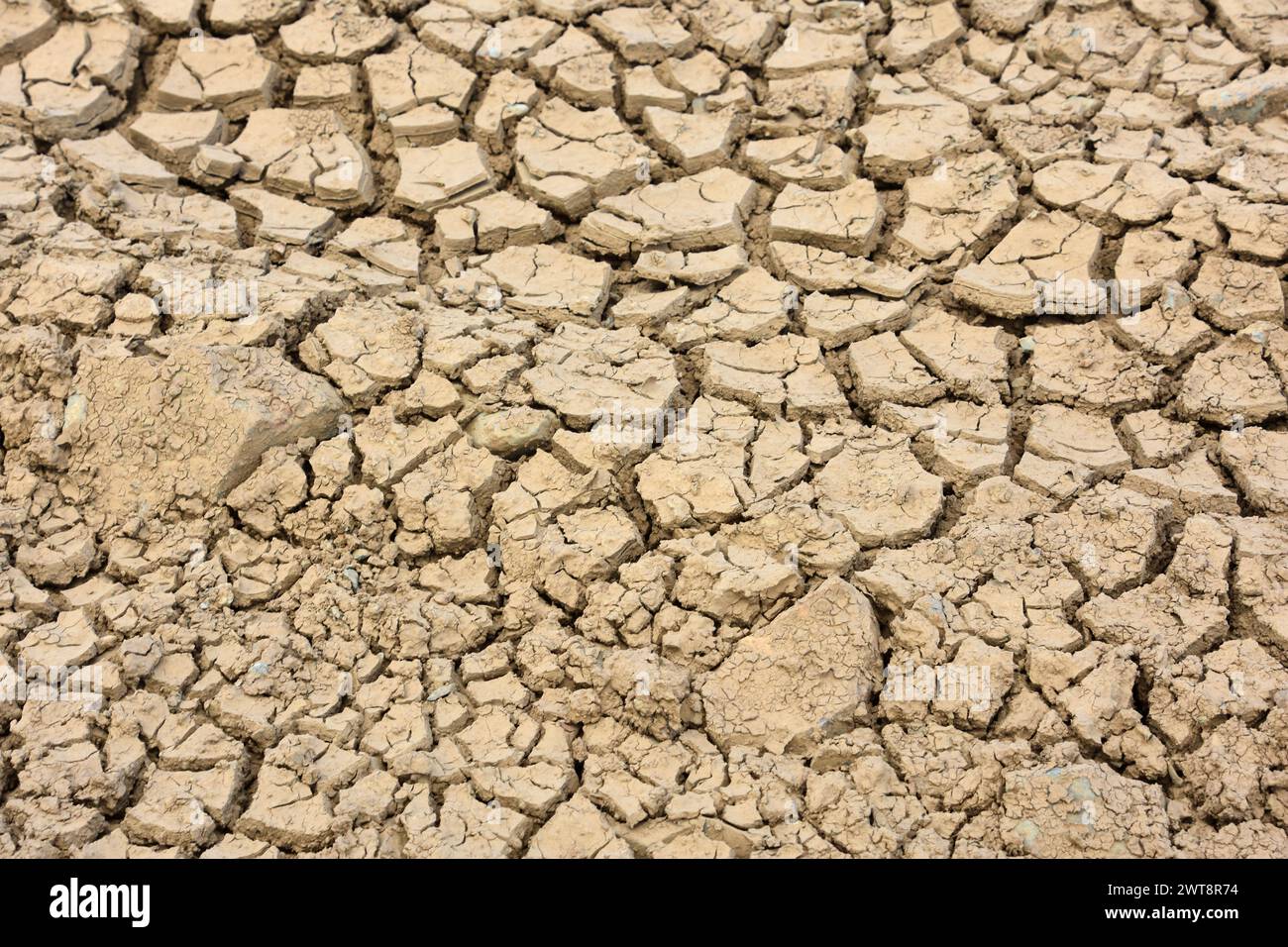 Dry mud texture dried riverbed hi-res stock photography and images - Alamy