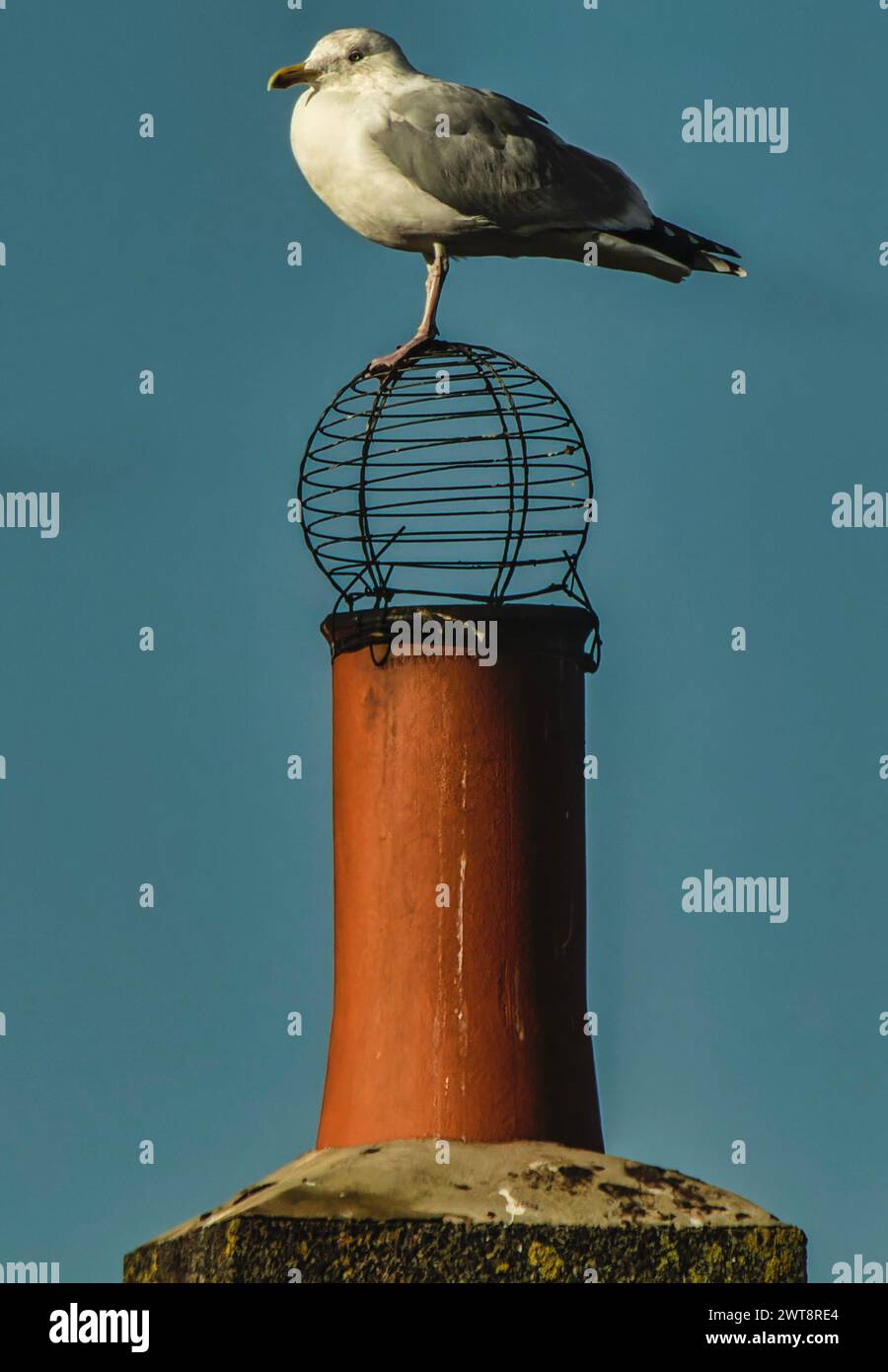 Chimney bafflw hi-res stock photography and images - Alamy
