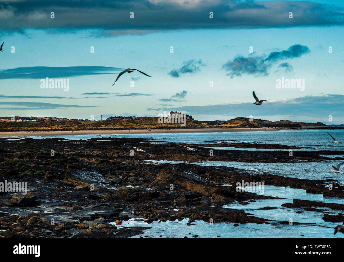 Bamborough Castle from the harbour at Aeahouses, in Northumberland ...