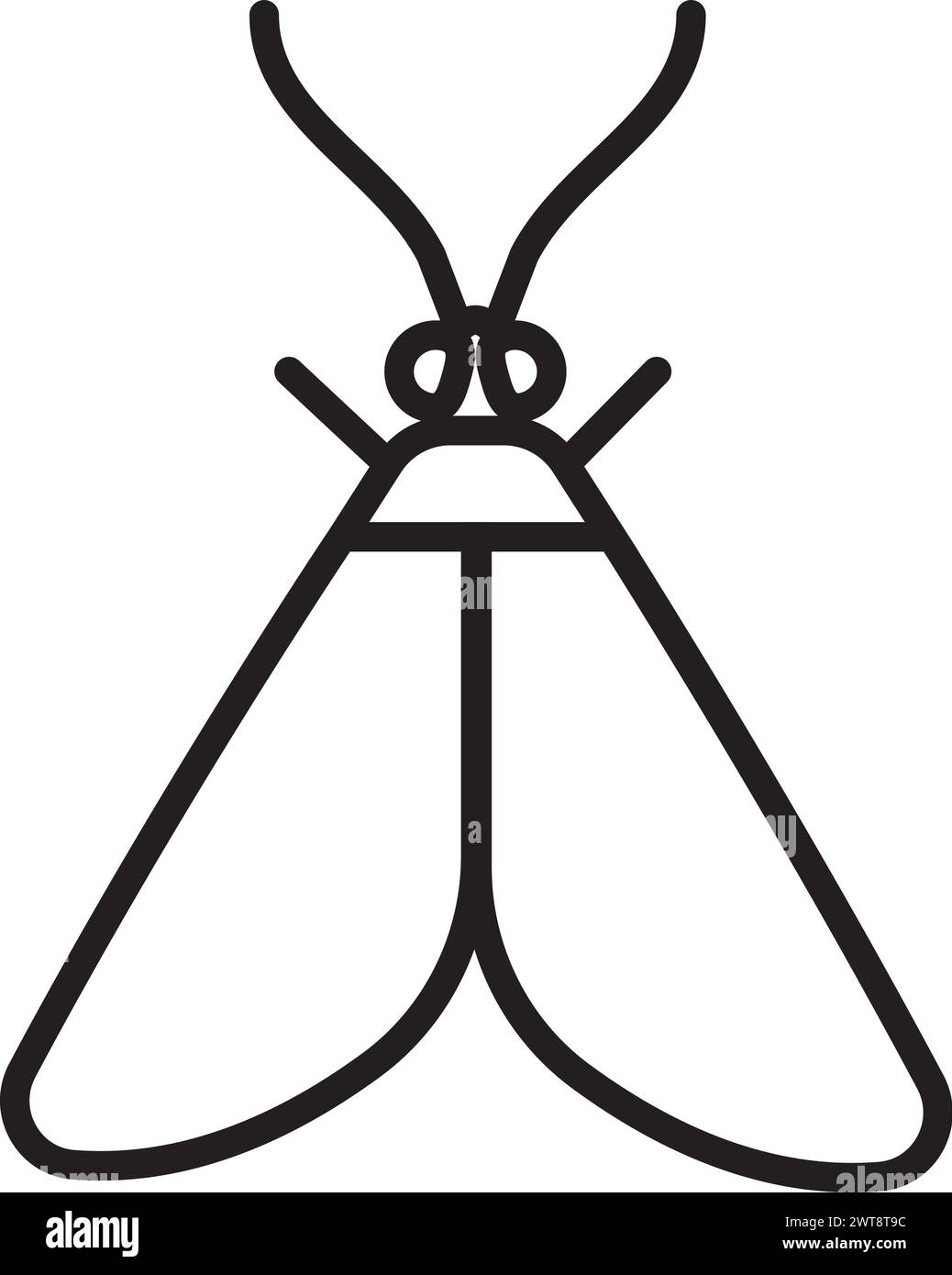 White winged insects Stock Vector Images - Alamy