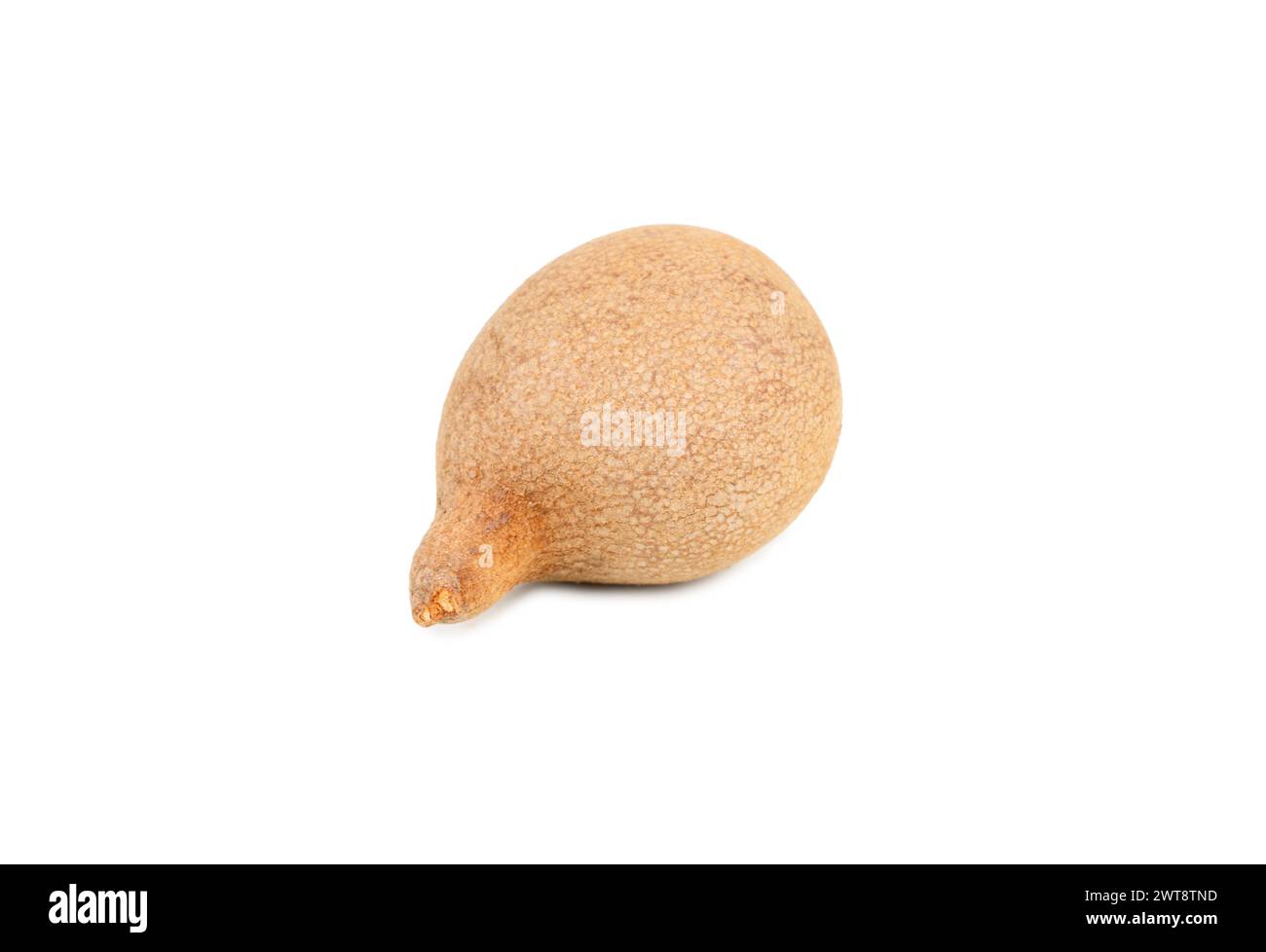 Small round tamarind fruit in shell isolated on white background Stock ...
