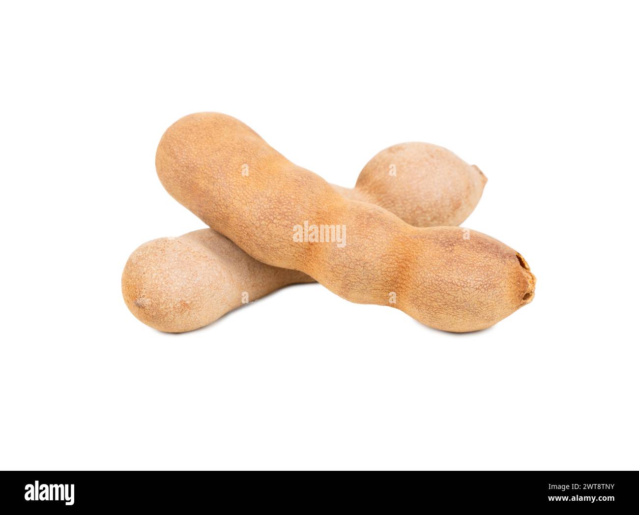 Two fresh tamarind fruits in shell isolated on white background Stock ...