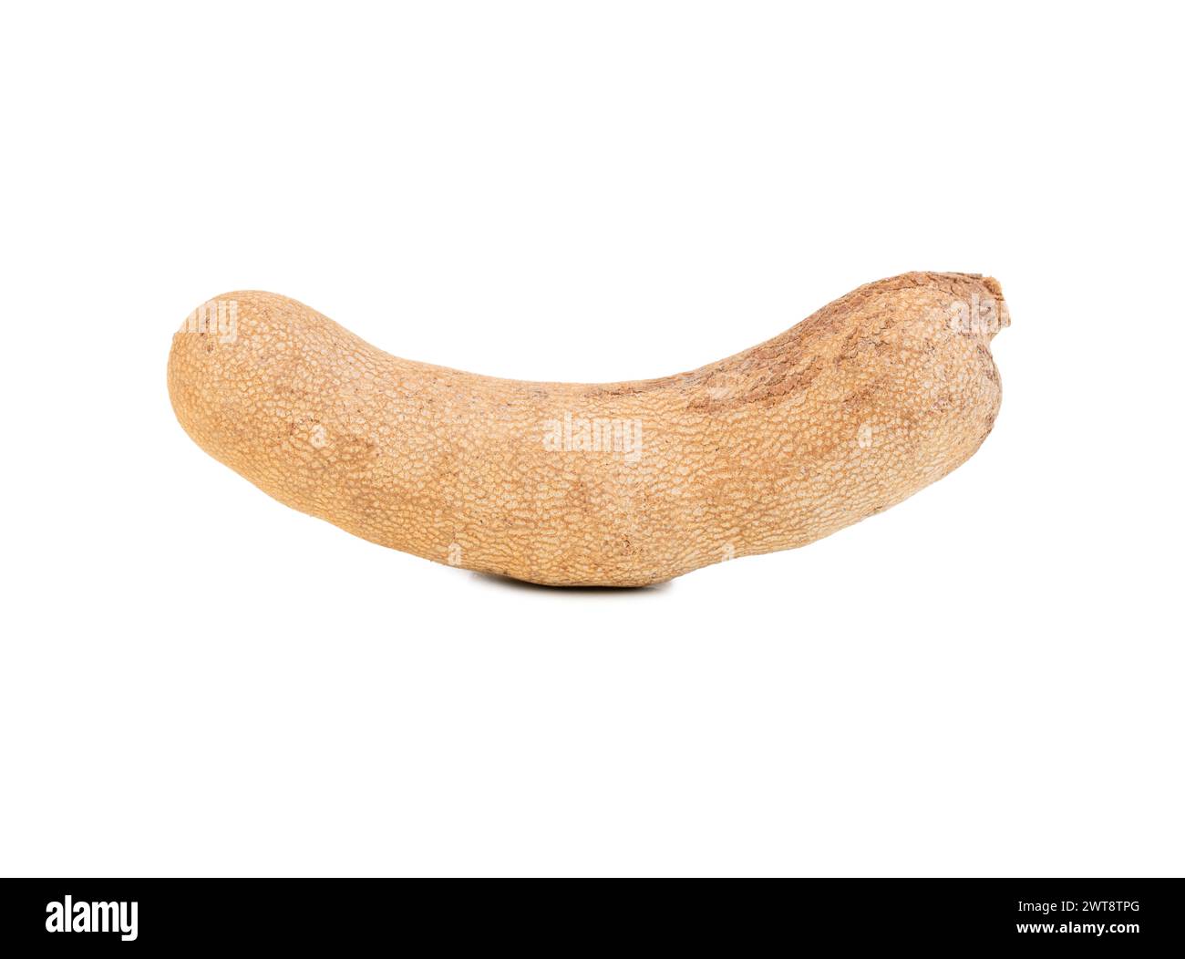 Fresh tamarind fruit in shell isolated on white background Stock Photo ...