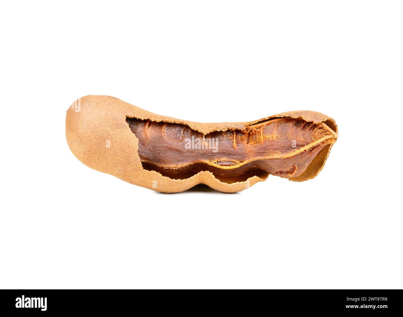 Fresh tamarind fruit in broken shell isolated on white background Stock ...