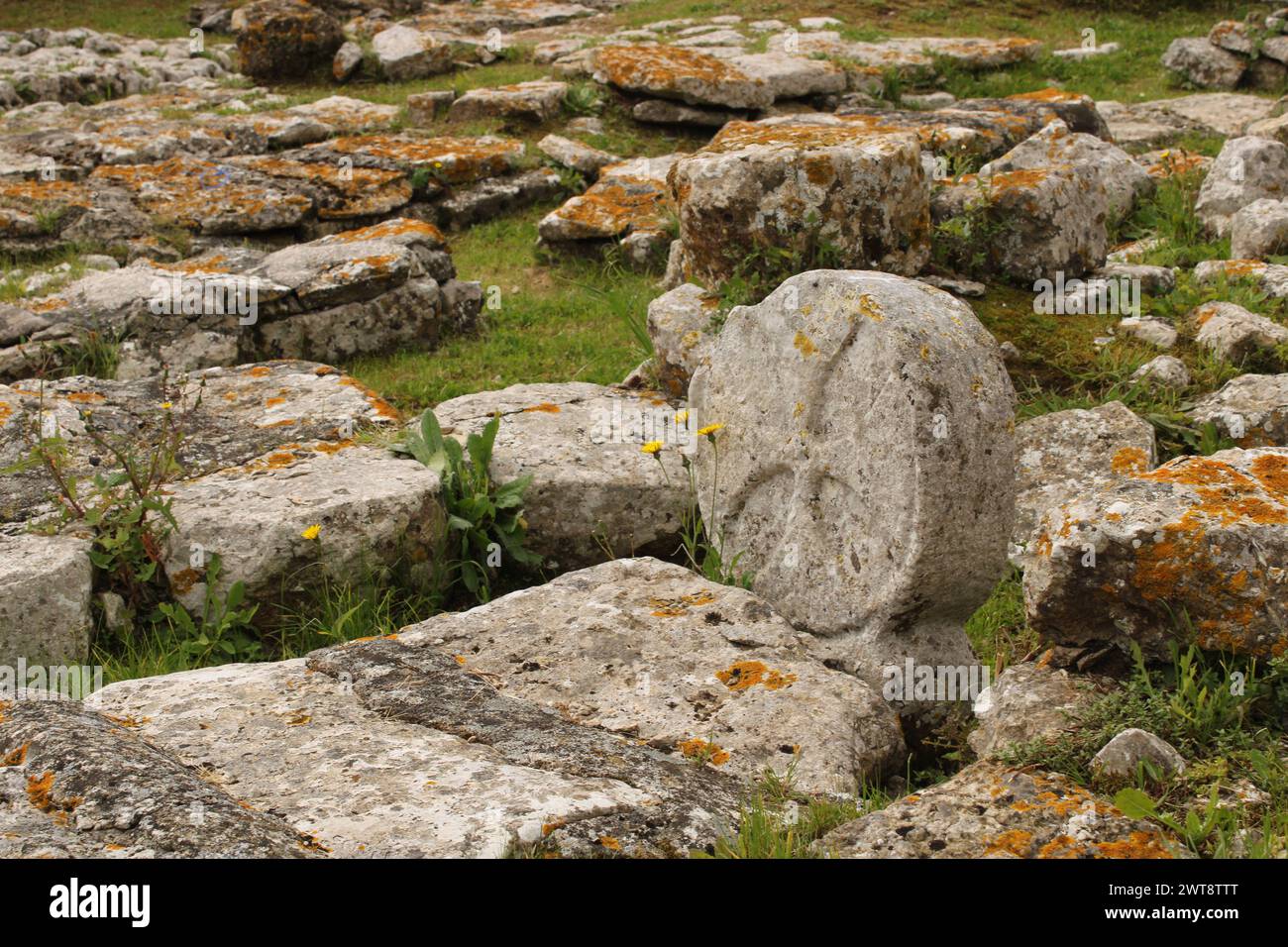 Templarhistory hi-res stock photography and images - Alamy