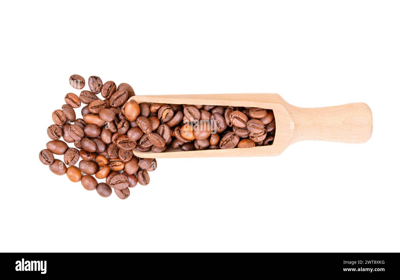 Loose coffee beans from a wooden scoop on a white background, top view ...