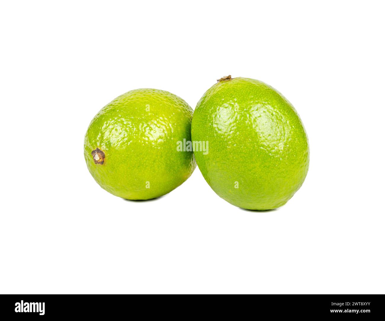 Two juicy fresh limes isolated on white background Stock Photo - Alamy