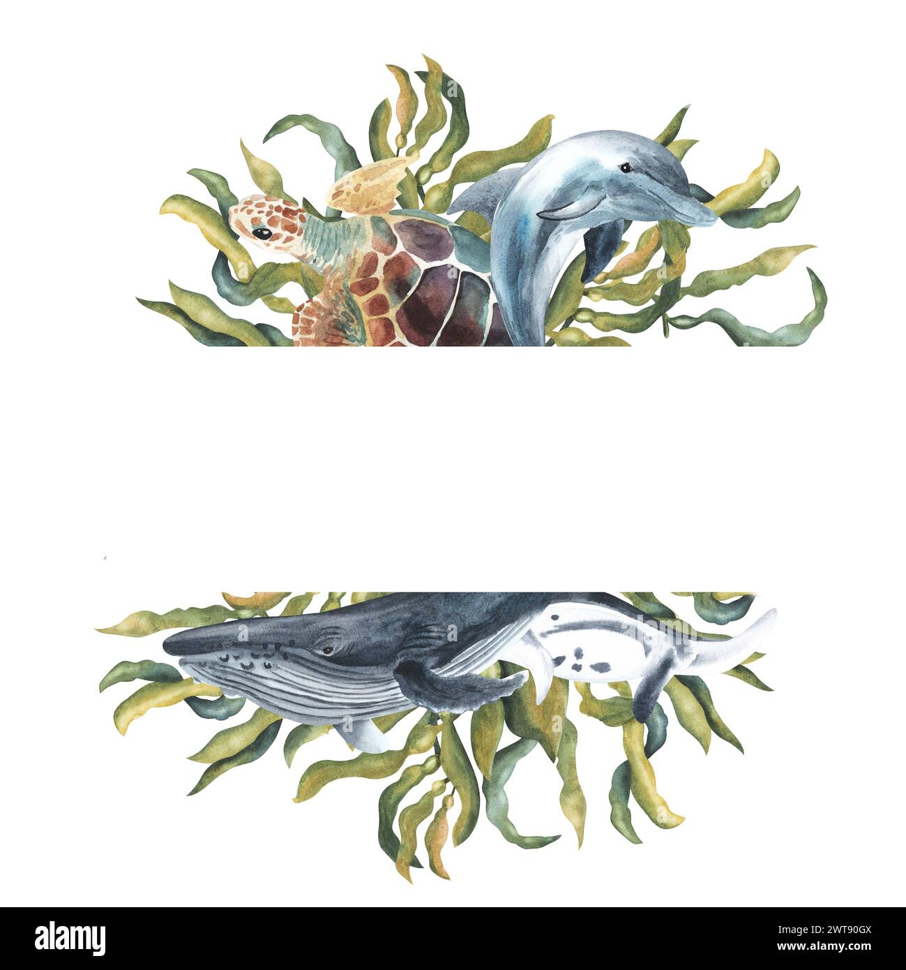 horisontal label of seaweed, sea turtle whales, dolphin. Hand-drawn ...