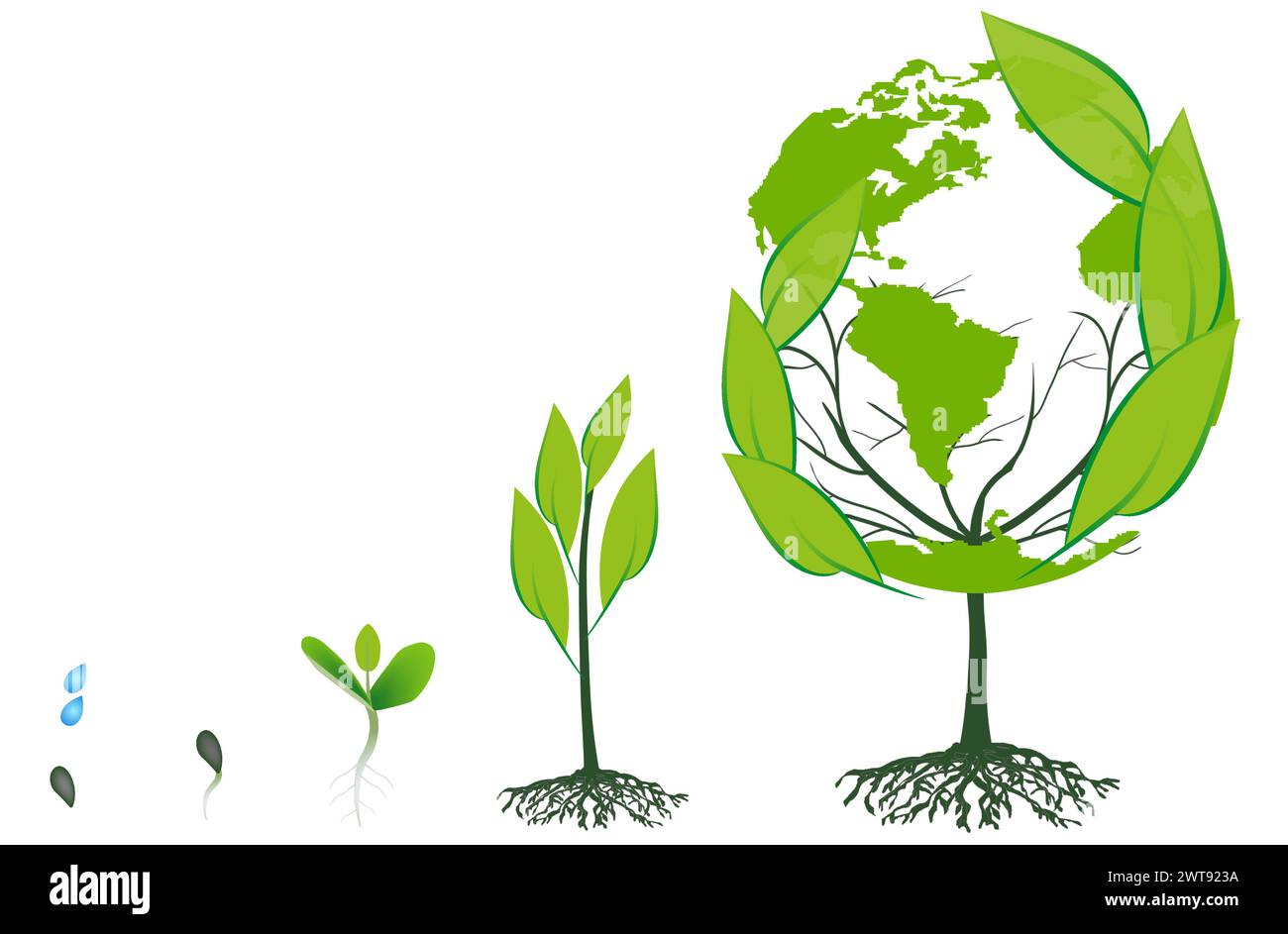 Tree growth cycle on a white background Stock Vector Image & Art - Alamy