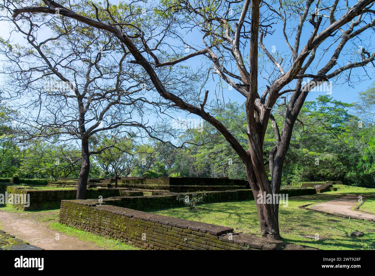 The ancient brick ruins of the Royal Palace (Parakramabahu’s Royal ...