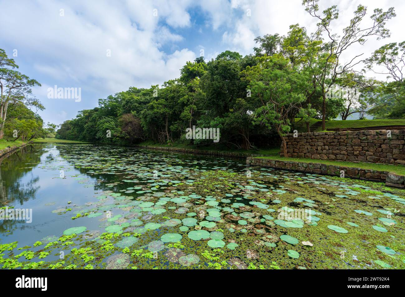 Serene Moat at Sigiriya Rock, Sri Lanka. A tranquil view of the moat ...