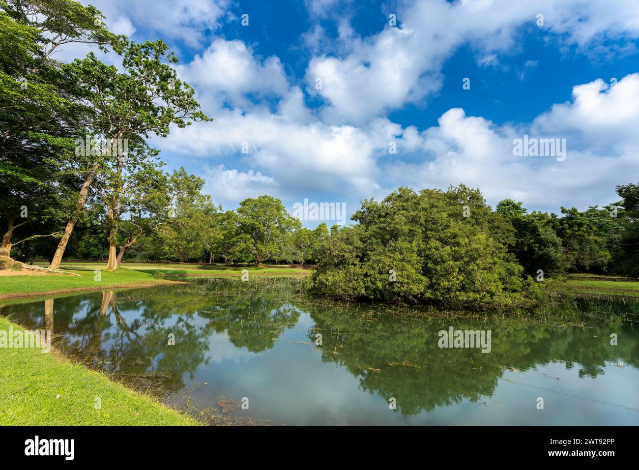 Sigiriya Rock Under Blue Sky, Sri Lanka. A picturesque view of Sigiriya Rock’s pool and greenery ...
