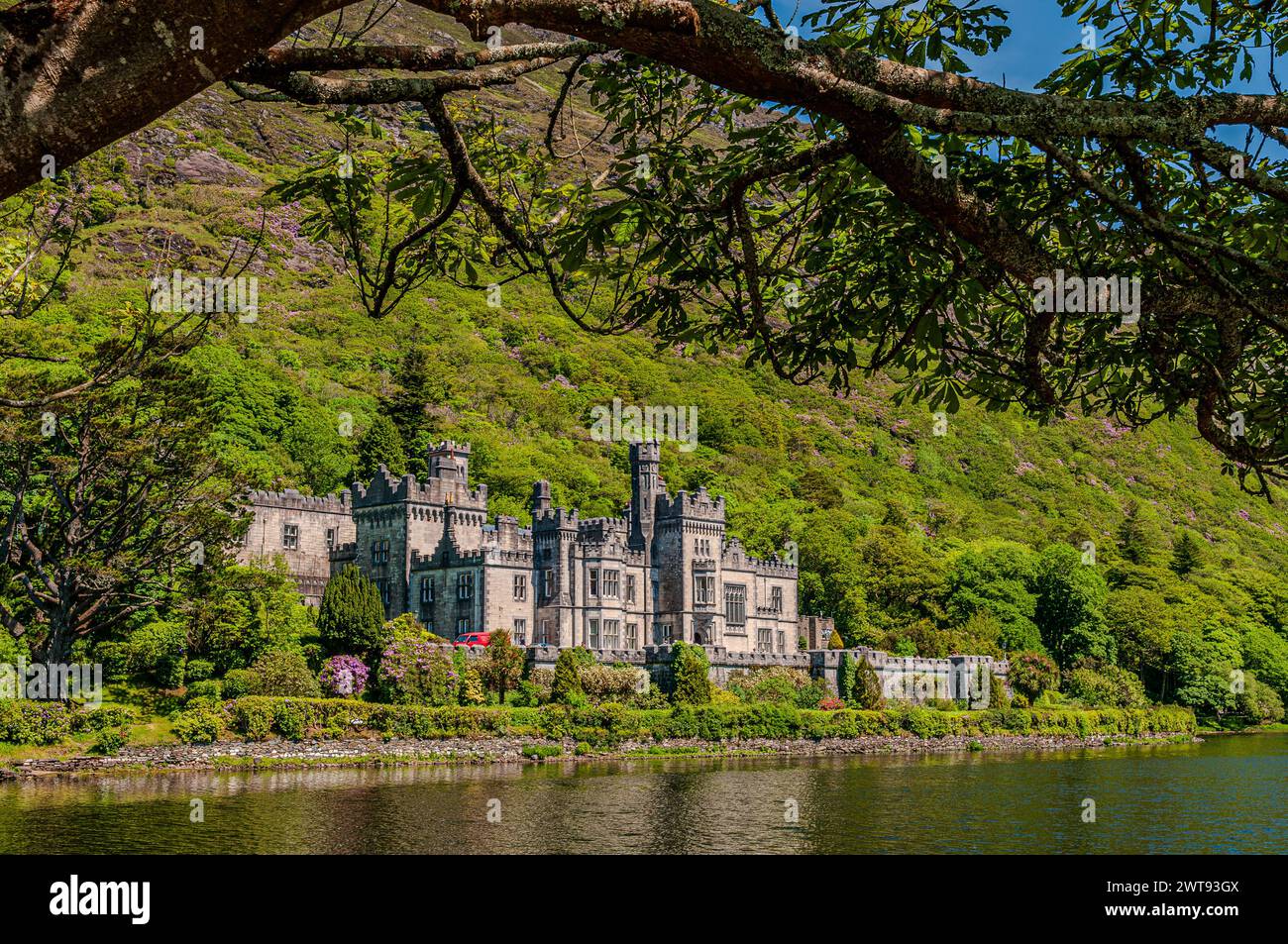 Mitchell henry hi-res stock photography and images - Alamy