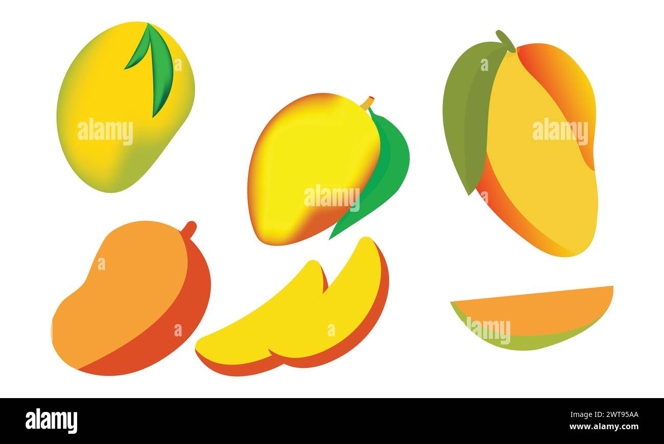 Mango Vector Design And Illustration Bundle Stock Vector Image & Art ...
