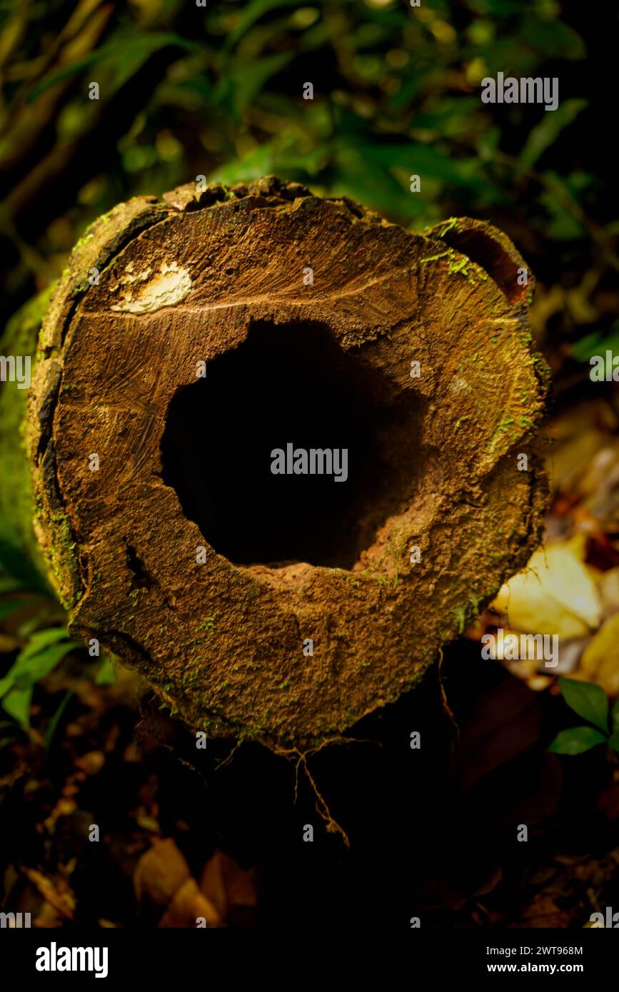 Hollow circle hi-res stock photography and images - Alamy