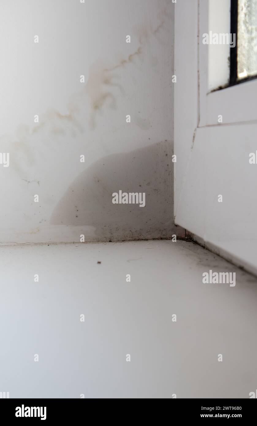 Window interior home house hi-res stock photography and images - Alamy