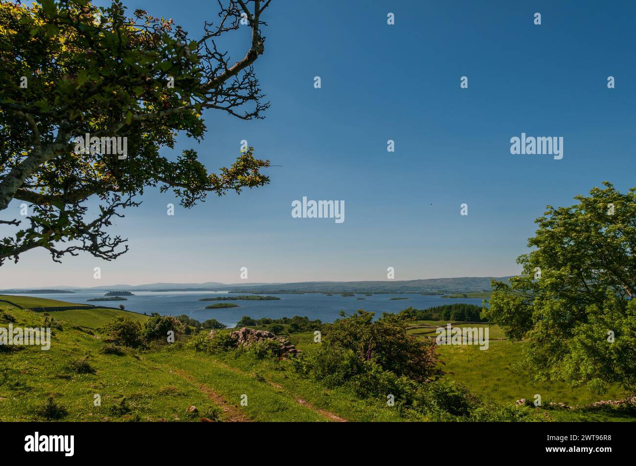 Protected natural area of western Ireland characterized by suggestive ...