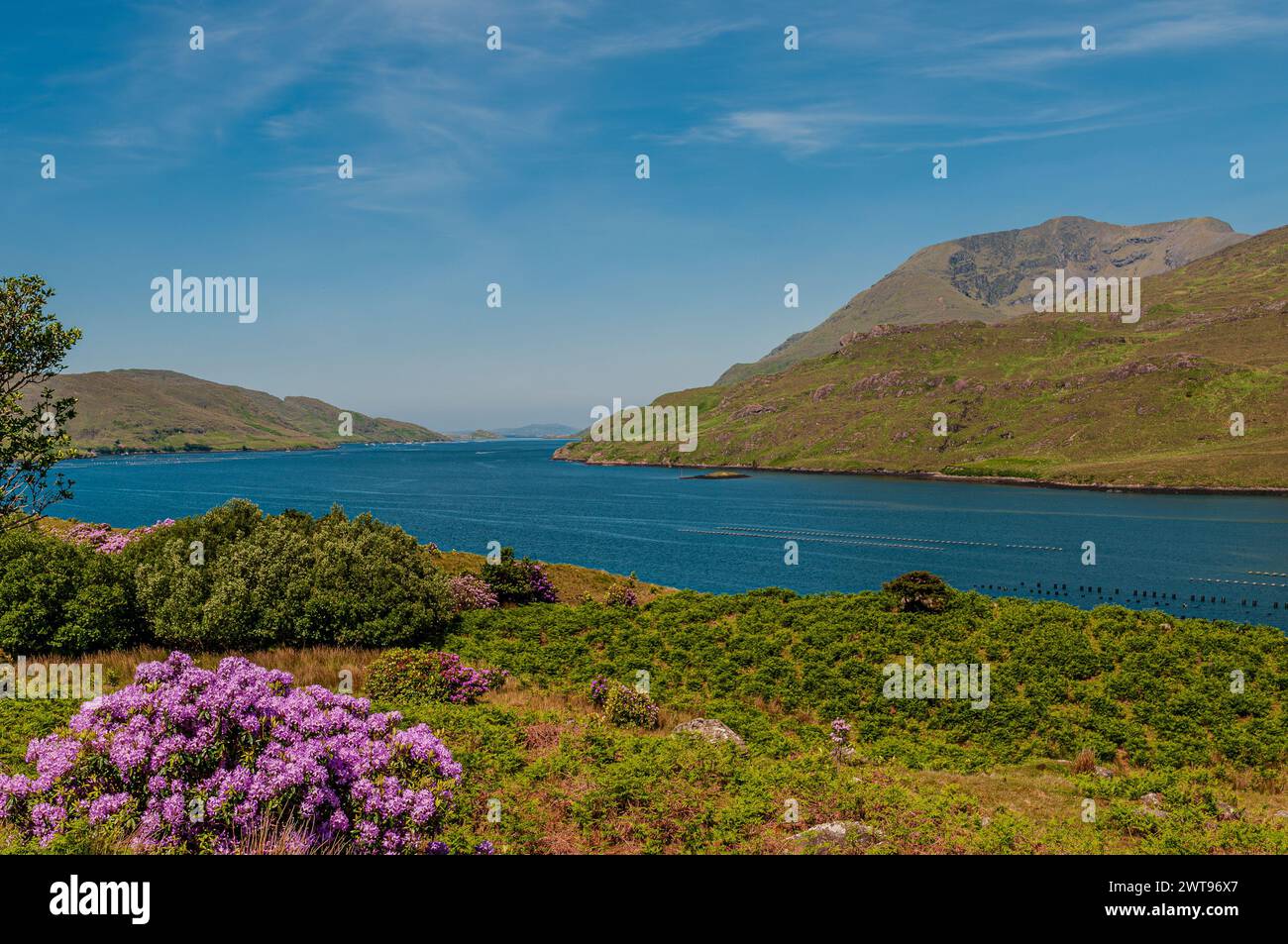 Protected natural area of western Ireland characterized by suggestive ...