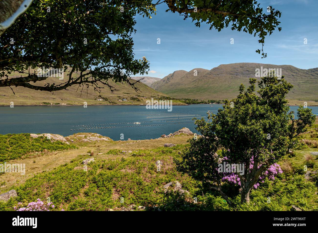 Protected natural area of western Ireland characterized by suggestive ...