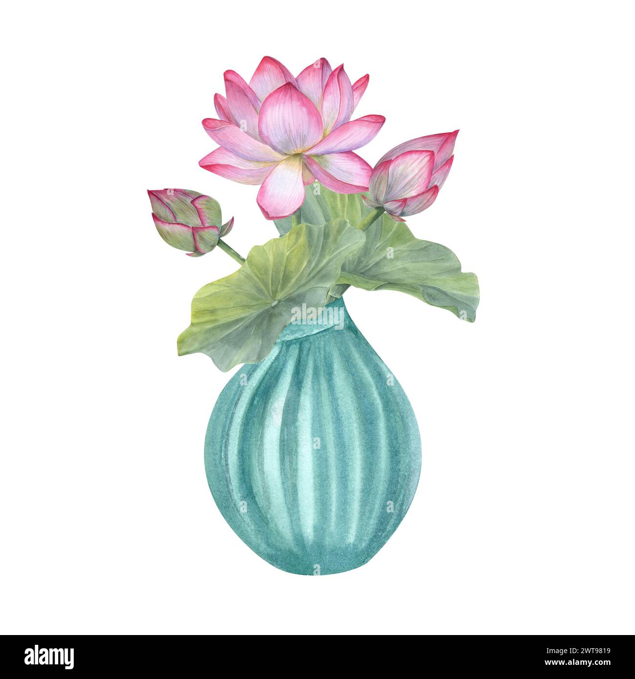 In bloom nature trend Cut Out Stock Images & Pictures - Alamy