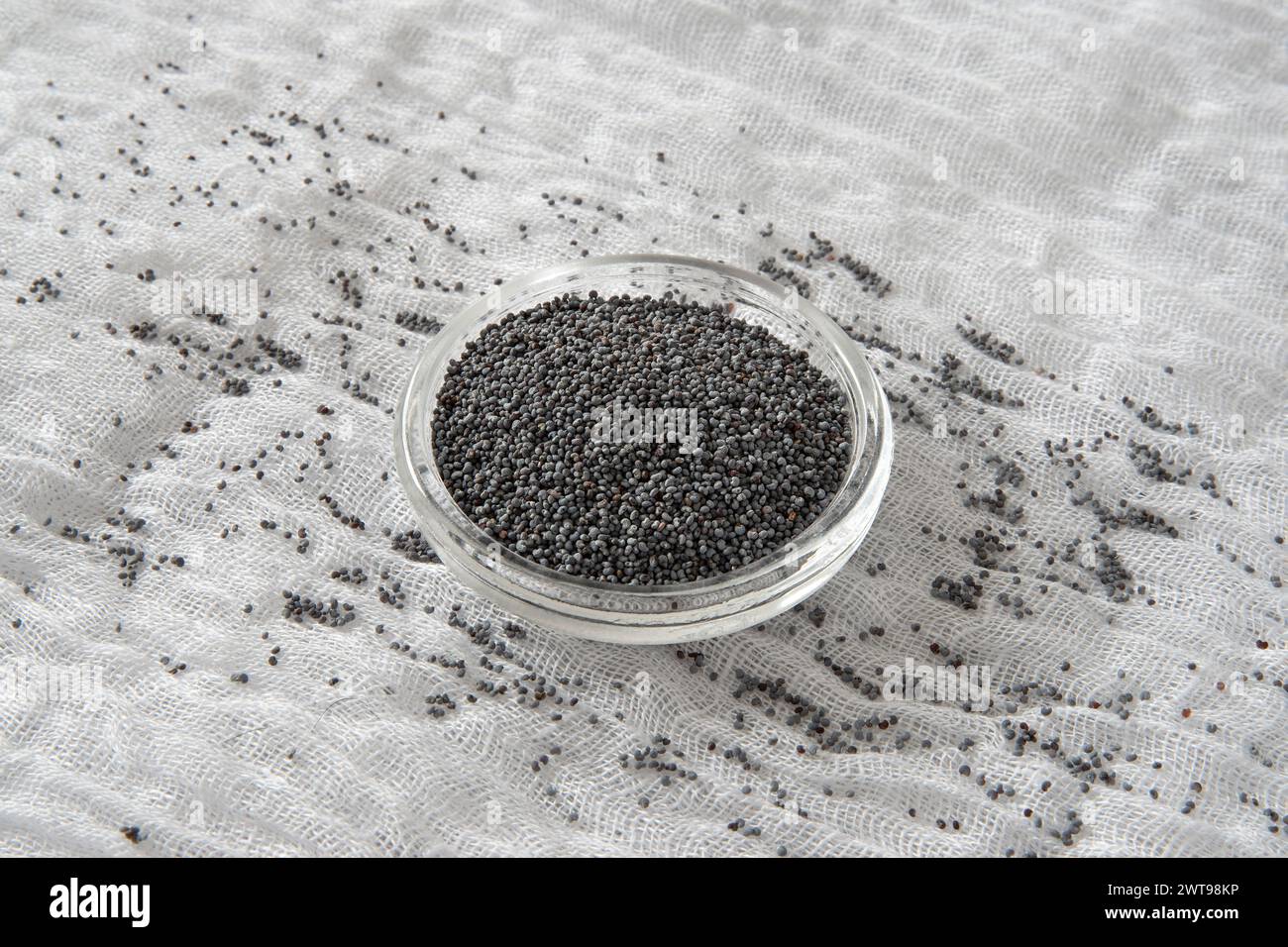 Close-up of blue poppy seeds Stock Photo - Alamy