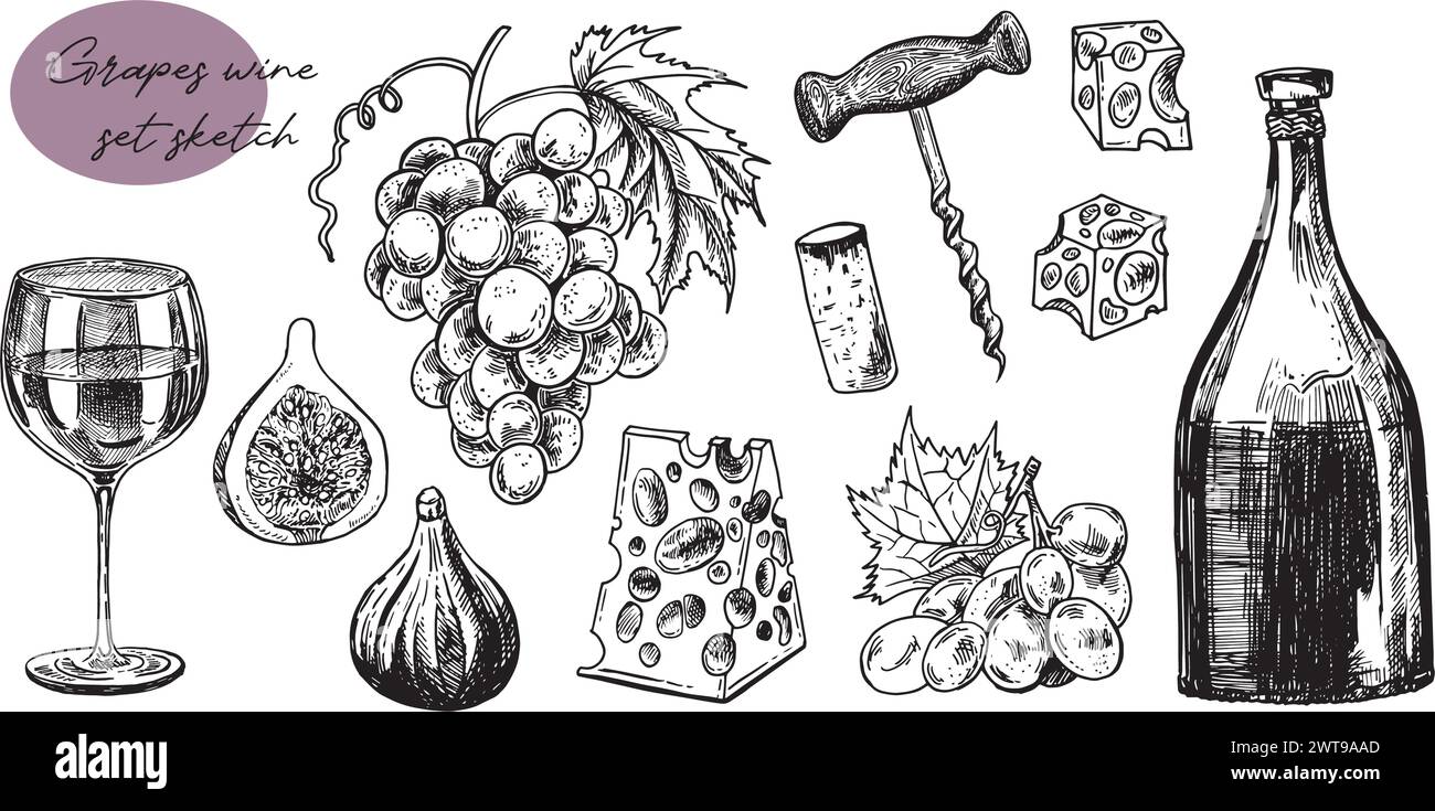 Time for wine vector hand drawn sketch illustration. Human hand holding ...