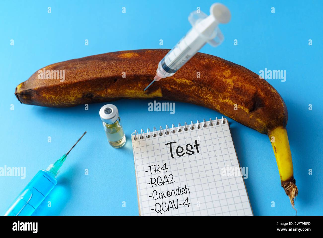 Resistenzgen hi-res stock photography and images - Alamy