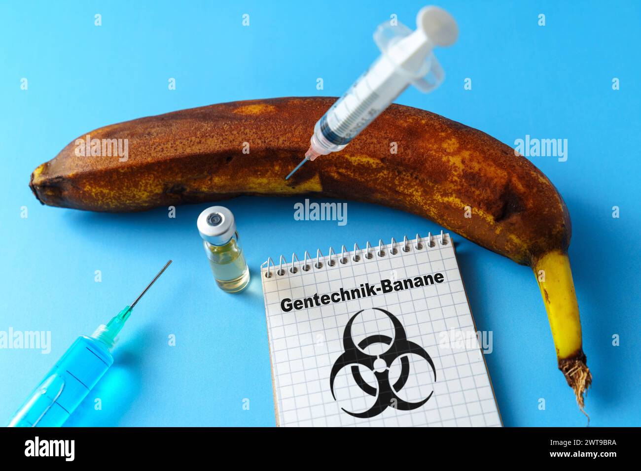 Augsburg, Bavaria, Germany - 16 March 2024: Genetic engineering banana ...