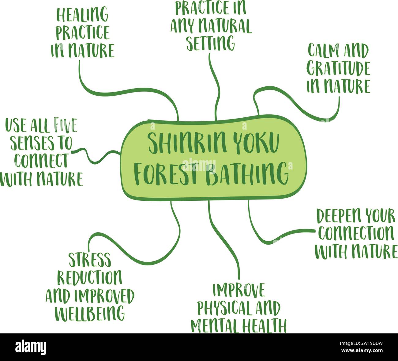 Japanese concept of shinrin yoku, forest bathing, the practice of ...