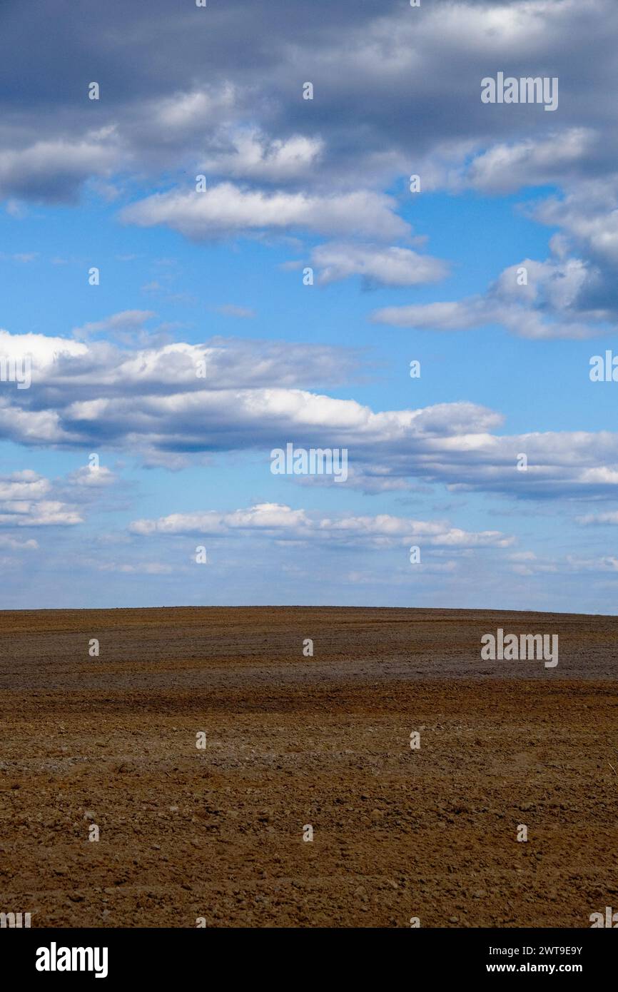 Horizon view of an open field with scattered clouds above Stock Photo ...