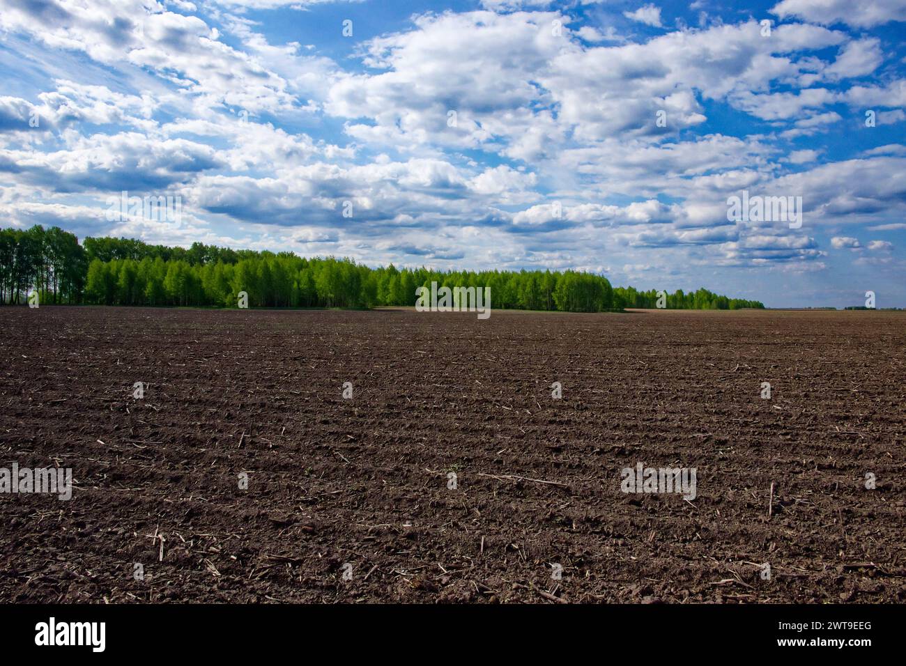 Brown soil of an empty field contrasts with the green trees and blue ...