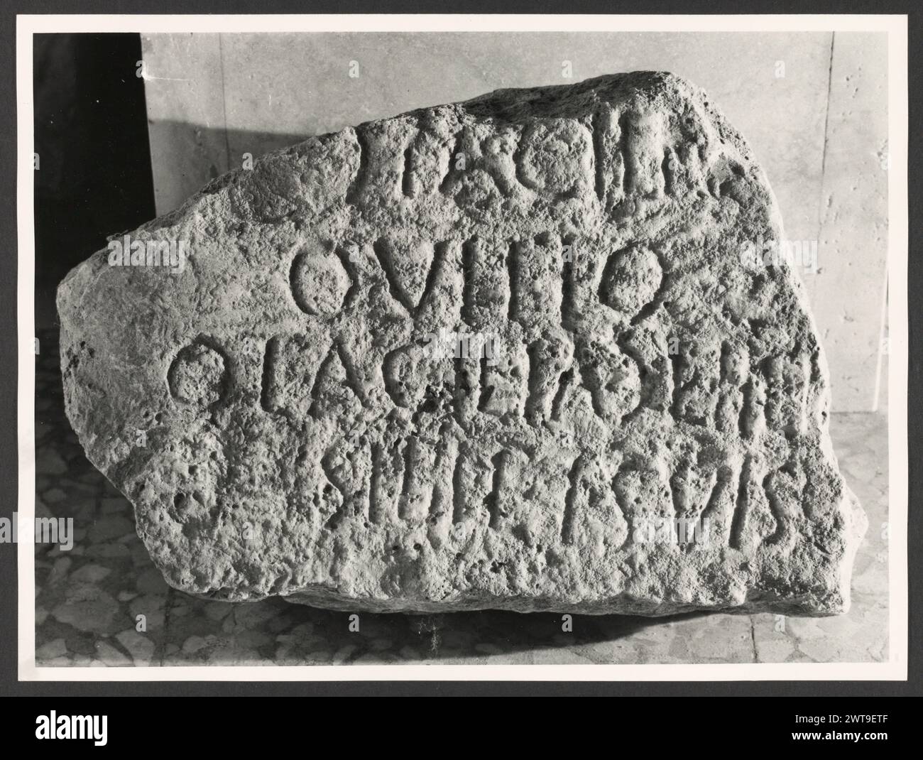 Lazio Latina Terracina Museo Archeologico2. Hutzel, Max 1960-1990 ...