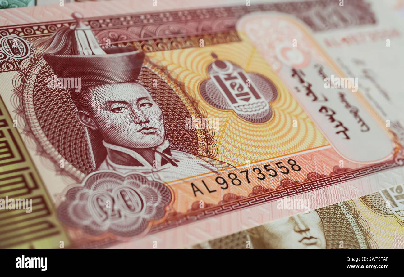 Closeup of old currency Mongolia tugrik banknote with portrait of state ...