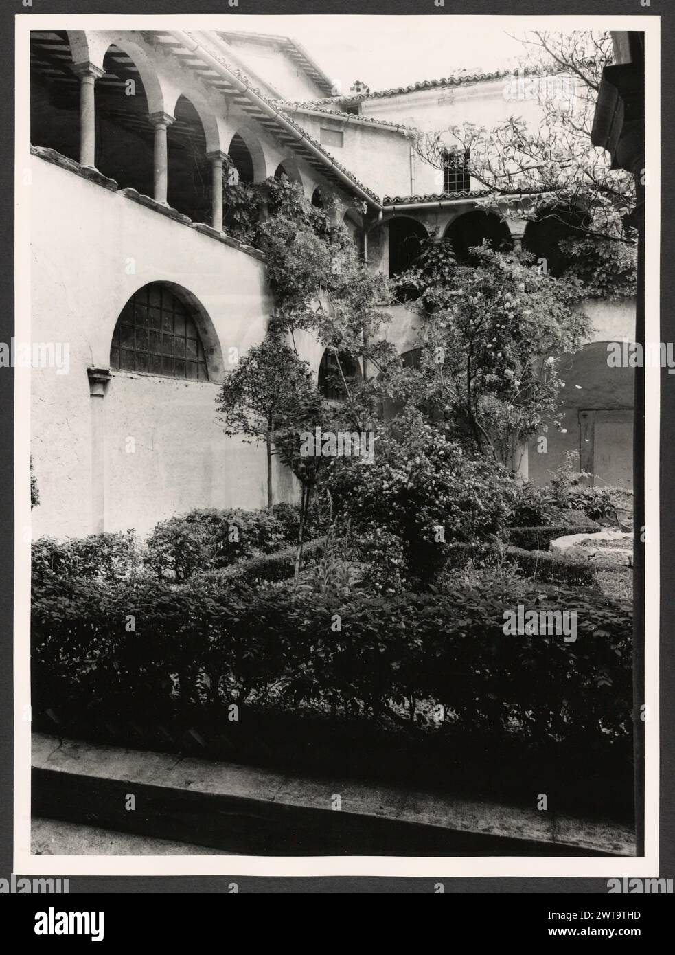 Trifora romanesque hi-res stock photography and images - Alamy