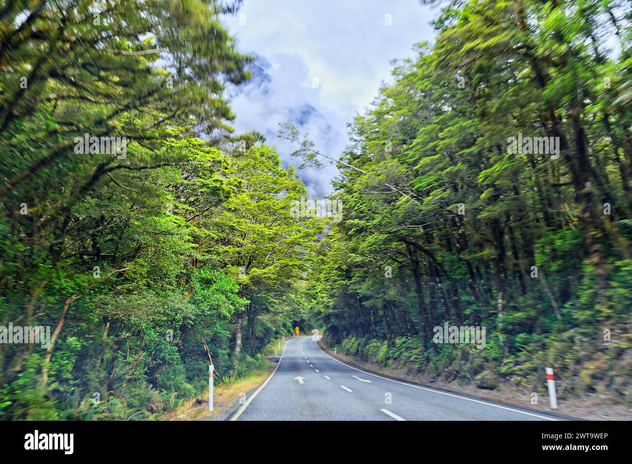 Driving on highway 94 to Milford Sound in Fiordland national park of ...