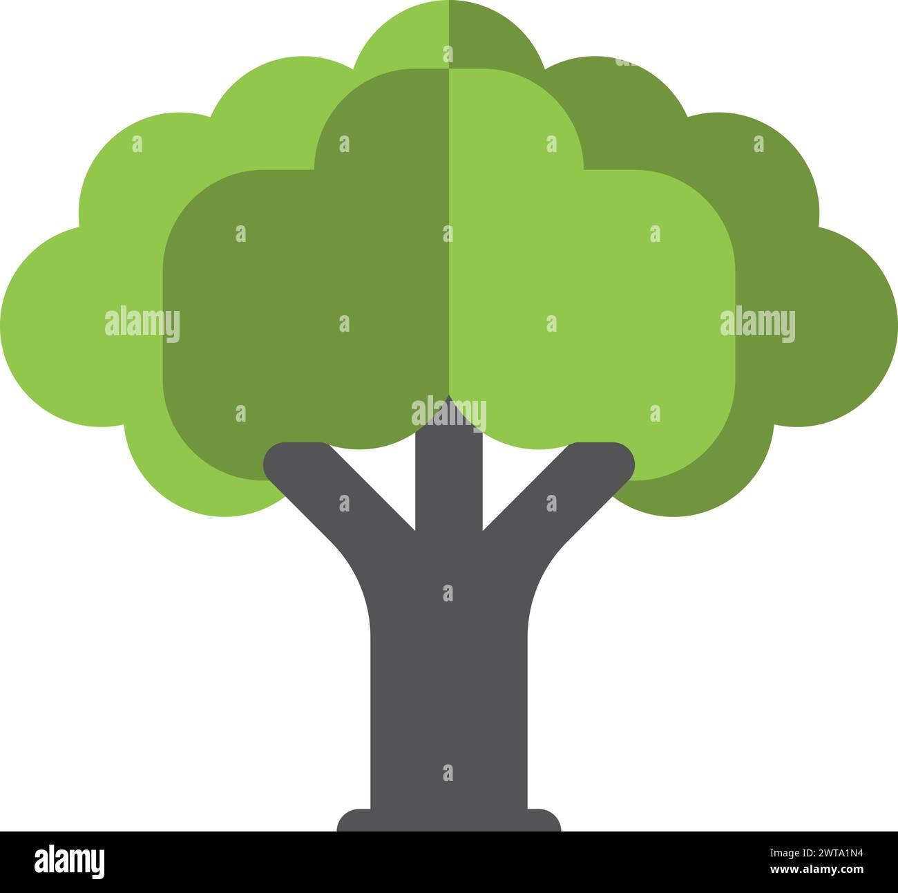 Oak icon. Green forest tree. Nature symbol Stock Vector Image & Art - Alamy