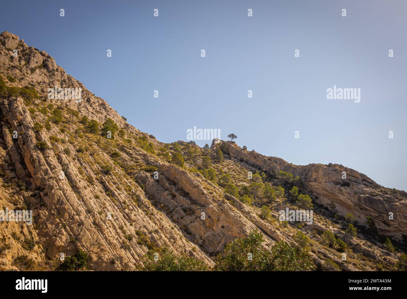 Route to the Tibi Reservoir in Alicante. Spain Stock Photo - Alamy