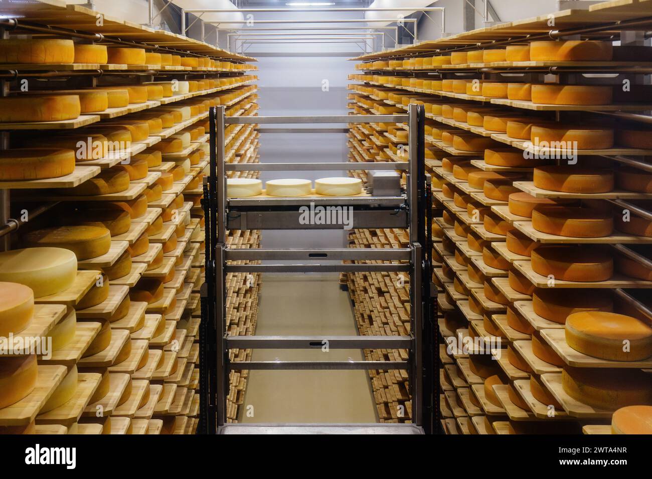 Loading machine working at cheese warehouse Stock Photo - Alamy