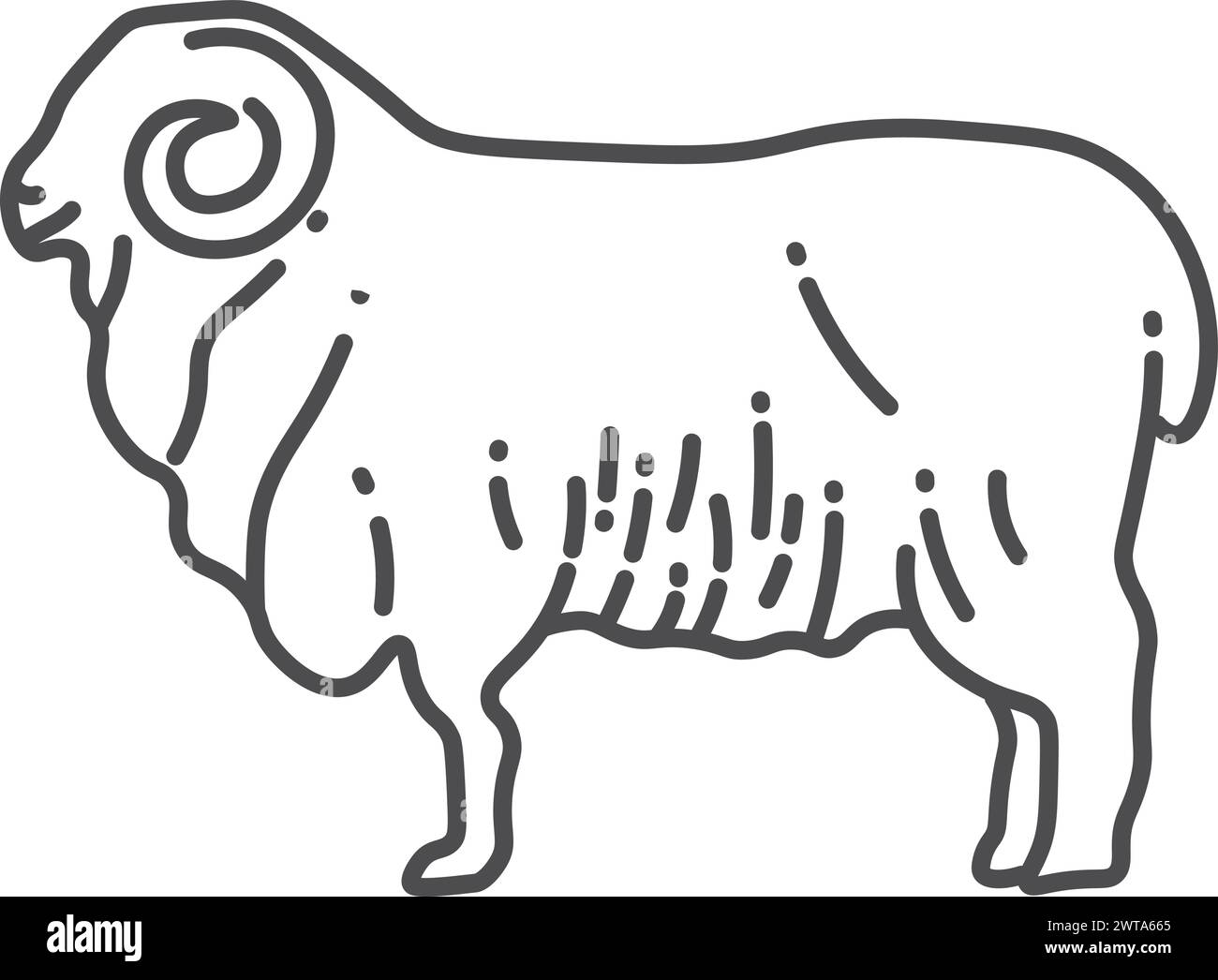 Line drawing sheep hi-res stock photography and images - Alamy
