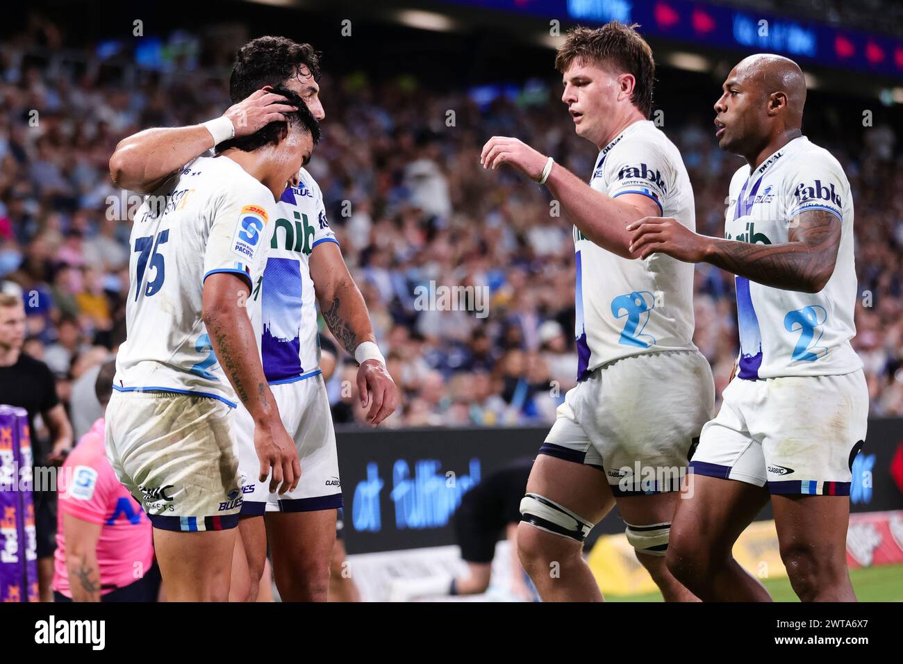 Sydney, Australia, 16 March, 2024. Zarn Sullivan of the Blues ...