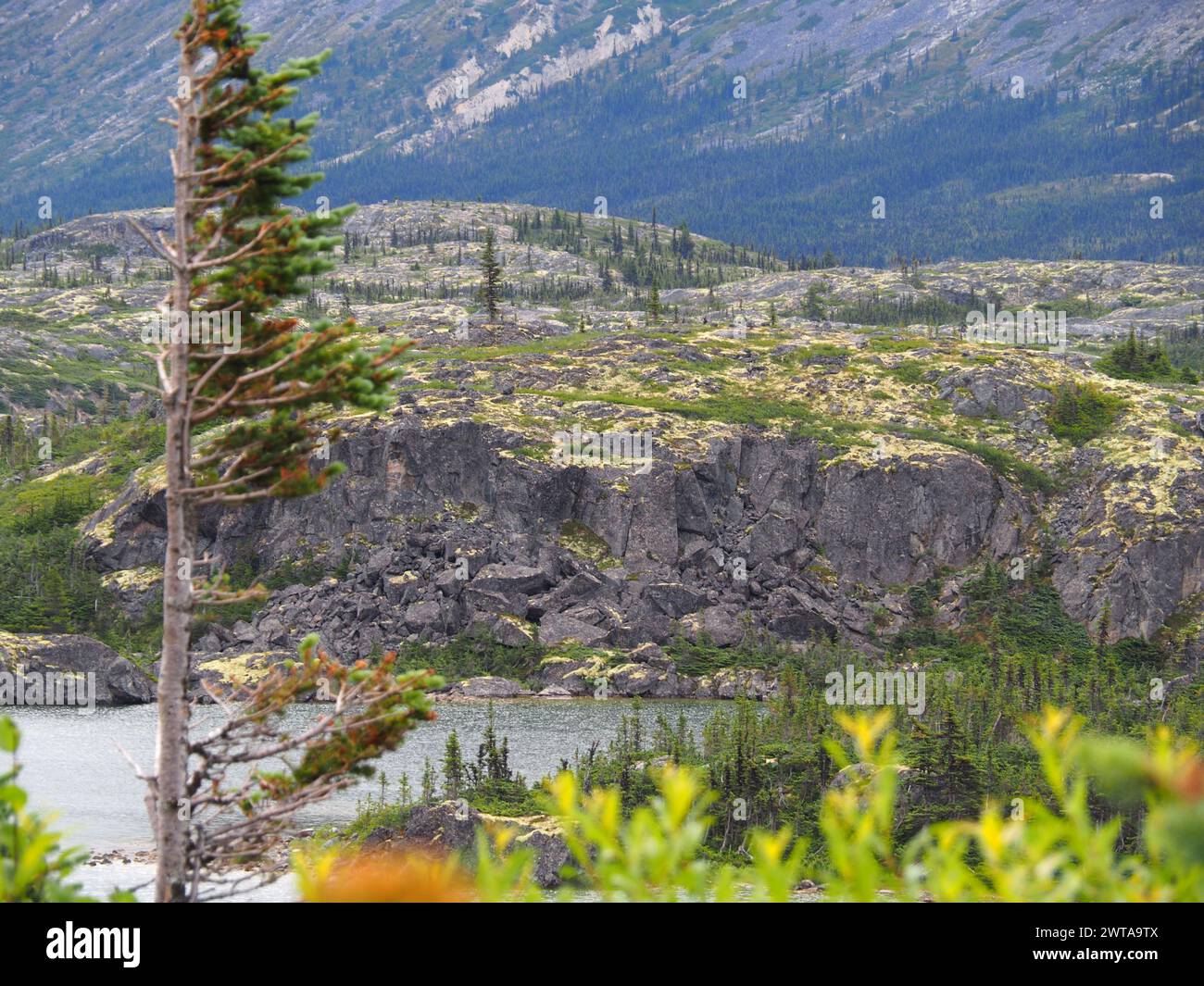 Alaskan Canadian alpine landscape on the Klondike Highway towards ...