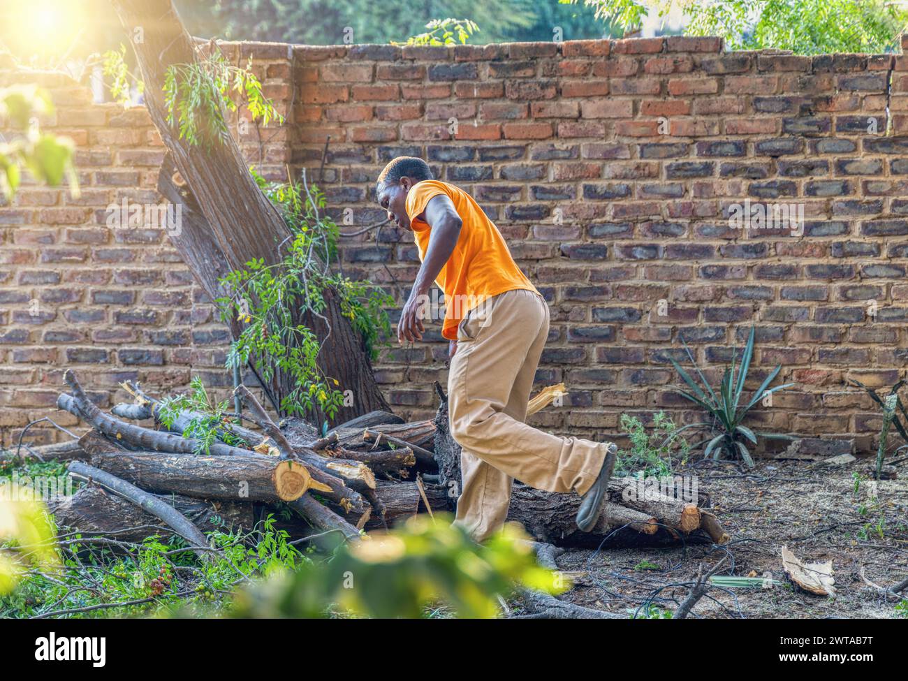 african man cutting trees, pruning branches and cleaning the yard Stock ...